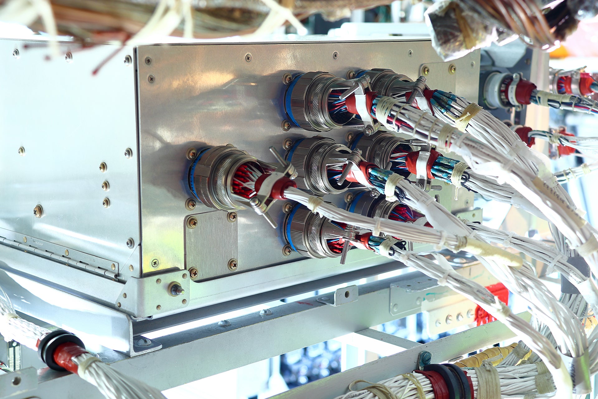 Preserving Vital Connections: The Importance of Protecting Umbilical C – ZT